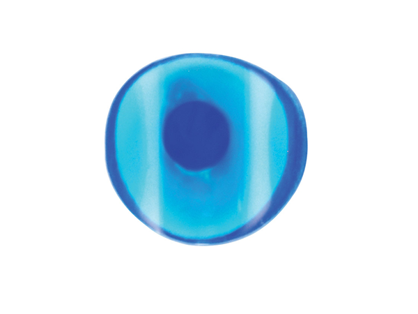 Garrison BlueView Cervical Matrices – Clinical Research Dental